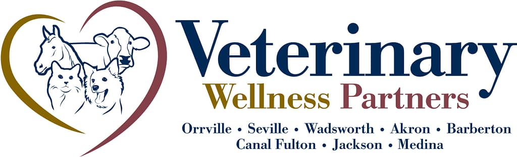 Veterinary Wellness Partners - Innovative Veterinary Solutions