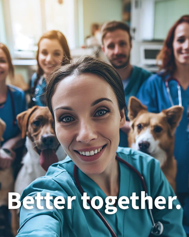 Innovative Veterinary Solutions - Veterinary Organization