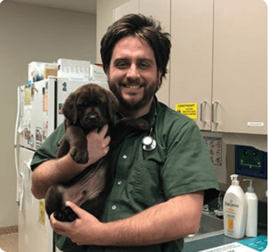 Green Prairie Animal Hospitals - Innovative Veterinary Solutions