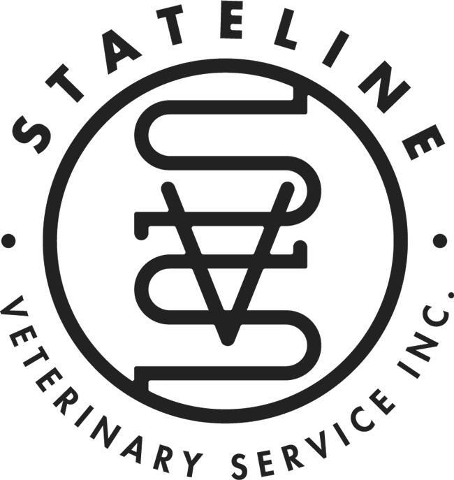Stateline Veterinary Service, Inc. - Innovative Veterinary Solutions